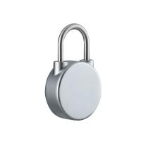 China Smart Lock Electromagnetic Lock for High Safe Door Security in Home/Office/School for sale