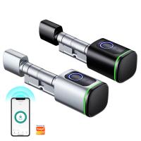 China Hot IP66 Tuya Biometric Smart Cylinder Lock Fingerprint Password Type-C for Aluminum Door for sale