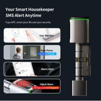 China BLE Network Smart Cylinder Door Lock for Wooden Doors Home Hotel Apartments Office for sale
