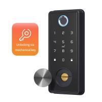 China Zinc Alloy Smart Lock for WiFi Fingerprint Unlocking on Aluminum Wood Steel Doors for sale