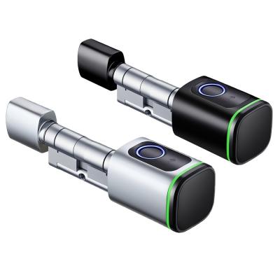 China Smart Home Tuya App Fingerprint Door Lock Unlock by Customizable Waterproof Wifi IC Card for sale