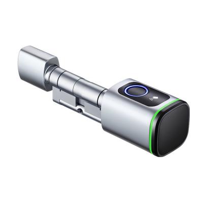 China Silver Brass Full-automatic Waterproof Fingerprint IC Card Smart Lock Core with Tuya for sale