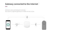 China Introducing the Grey Wifi Smart Gate Lock for Tuya Wooden Doors Memory Card Storage for sale