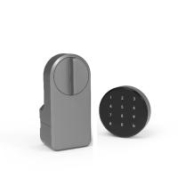 China 95% Door Compatibility Vintage Handle Smart Lock with Bluetooth and Digital Technology for sale