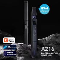 China Digital Smart Lock for Wood Doors 3D Face Recognition TUYA App Waterproof IP64 Wifi for sale