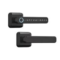 China Memory Card Data Storage Smart Lock for Wood Door Waterproof IP66 Fingerprint Wifi for sale