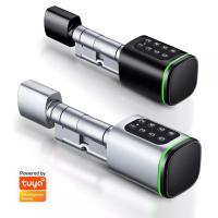 China PL-CS1K Tuya Smart Door Lock Easy Installation with Password and Type-C Power Supply for sale