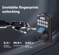 China Keyless Entry Fingerprint Door Lock Tuya Smart Memory Card Data Storage Option Grey for sale