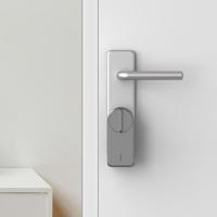China Grey Tuya Ttlock App Automatic Digital Rfid Card Euro Cylinder Lock Electronic Smart Door Lock in Grey for sale