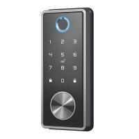 China Wood Door Smart Lock with Tuya Code and Fingerprint Recognition Technology for sale