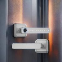 China Zinc Alloy Material Wifi Enabled Fingerprint Door Lock Waterproof IP66 for Wood Door for sale