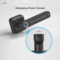 China Zinc Alloy Material Wifi Enabled Fingerprint Door Lock Waterproof IP66 for Wood Door for sale