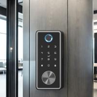 China Steel Door Waterproof Wifi Digital Front Keyless Smart Deadbolt Lock with Tuya App for sale