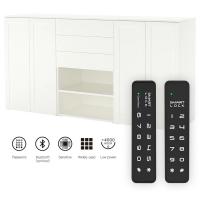 China Secure Cabinet Access Password USB Key Combination Cabinet Lock with Blue tooth Network for sale