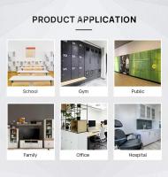 China Smart Biometric Storage Cabinet Lock with Memory Card Data Storage and Furniture Lock for sale