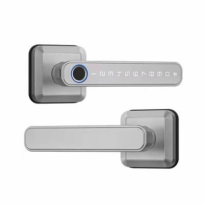 China Modern and Secure Zinc Alloy Fingerprint Door Lock with One Touch Digital Code Handle for sale