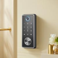 China Electronic Digital Keyless Smart Door Lock with Fingerprint Recognition and BLE WIFI for sale