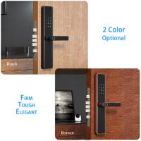 China Modern Simplicity Style TUYA Smart Fingerprint Door Lock for Aluminum Wood Steel Doors for sale