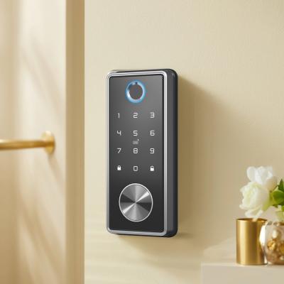 China Memory Card Data Storage Four-in-one Tuya Door Lock Smart Electronic Fingerprint Code for sale