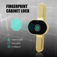 China Data Storage Options Memory Card Mini Drawer Smart Electric Lock For Office Cabinet for sale