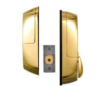 China Wood Door High Security Gold Color Waterproof Sliding Smart Fingerprint Door Lock 42.1 * 35.6 * 51.5 cm for sale
