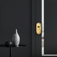 China Wood Door High Security Gold Color Waterproof Sliding Smart Fingerprint Door Lock 42.1 * 35.6 * 51.5 cm for sale