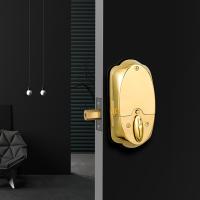 China Wood Door High Security Gold Color Waterproof Sliding Smart Fingerprint Door Lock 42.1 * 35.6 * 51.5 cm for sale