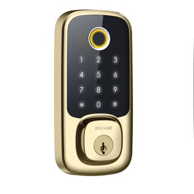 China Polymath Smart Locks Fingerprint Digital Door Lock For Stainless Steel Door for sale