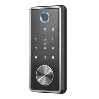 China Sliver Multifunctional Smart Door Lock with Fingerprint Password and Card Functions for sale