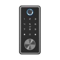 China Sliver Multifunctional Smart Door Lock with Fingerprint Password and Card Functions for sale
