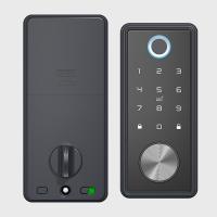 China Aluminum Door TUYA Smart Lock with Fingerprint Recognition and Memory Card Storage for sale