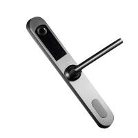 China 304 Stainless Steel Housing and Handle Electronic Smart Lock for Various Applications for sale