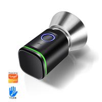 China Type-C Power Supply Google Smart Fingerprint Door Lock Keyless Gate Lock with Tuya App for sale