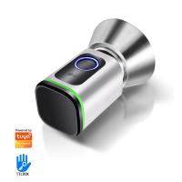 China Easy Diy Install Smart System Tuya APP Door Lock Keyless Connected BLE Fingerprint Card for sale