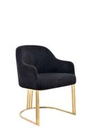 China FT241 Customized Dining Chair Featuring 2 Inches Cushion Thickness Comfortable Seating for Restaurants Cafes Hotels and Lounges US Dollar Pricing for sale