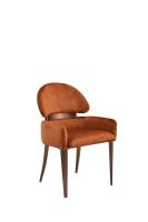 China FT254 Modern Dining Chair with Ergonomic Design Comfortable Seating and Durable Frame Ideal for Restaurants and Cafeterias for sale