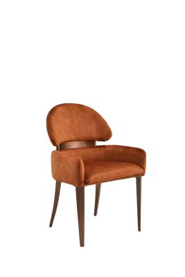 China FT254 Modern Dining Chair with Ergonomic Design Comfortable Seating and Durable Frame Ideal for Restaurants and Cafeterias for sale