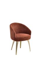 China FT258 Modern Dining Chair with Ergonomic Design Comfortable Seating and Durable Frame Ideal for Restaurants and Cafeterias for sale