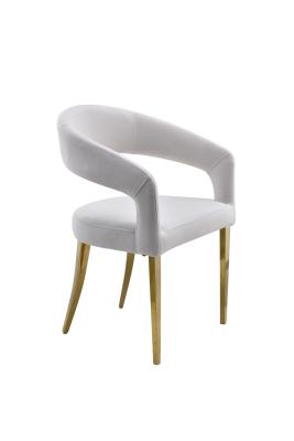 China PT507A Modern Dining Chair with Ergonomic Design Comfortable Seating and Durable Frame Ideal for Restaurants and Cafeterias for sale