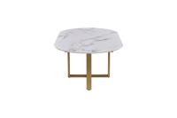 China T961-1 Minimalist Oval White Marble Coffee Table with Gold Metal Frame for sale
