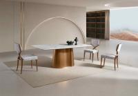 China T1039 Modern Light Luxury Rectangular artificial marble Dining Table with Sculptural Curved Bronze Metal Base for sale