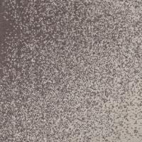 China Loop Pile Nylon Carpet Tile Residential & Education Flooring Acoustic Comfort Anti Stain Durable Low Maintenance for sale