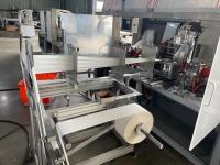 China Fully Automatic Wet Napkin Packaging Machine Model 250 with 100-180 Bags/Minute Speed and 3500×2600×1800mm Dimensions for sale