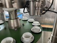 China Automatic Plastic Tube Filling Machine 5-250ml 50-75pcs/min Cream Gel Ointment Sealer for sale