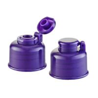 China 20mm 24mm Plastic Flip Top Cap for Bottle Sealing Technology for sale