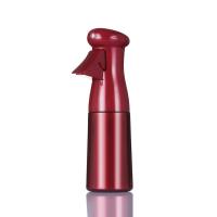 China Customized Request Fine Mist Sprayer 300ML for Continuous Salon Cosmetic Beauty Bottle for sale