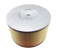 China Auto Air Filter Replacement Element for Hino Toyota Nissan 1780178040 General Motors for sale
