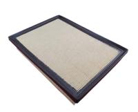 China 17801-38050 17801-38051 Car Air Filter Replacement Element for Toyota FAW 17801-0P060 62x323x237mm for sale