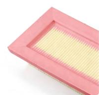 China Agricultural Machinery Filters A02-02880 5E6D15-79970 Filter Elements for Farm Equipment for sale
