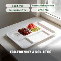 China Premium Stone-Textured Commercial Compartment Tray for sale